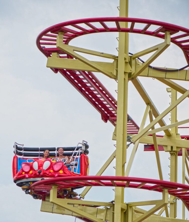 Crazy Mouse Amusement Ride – The Park at OWA, Foley, AL