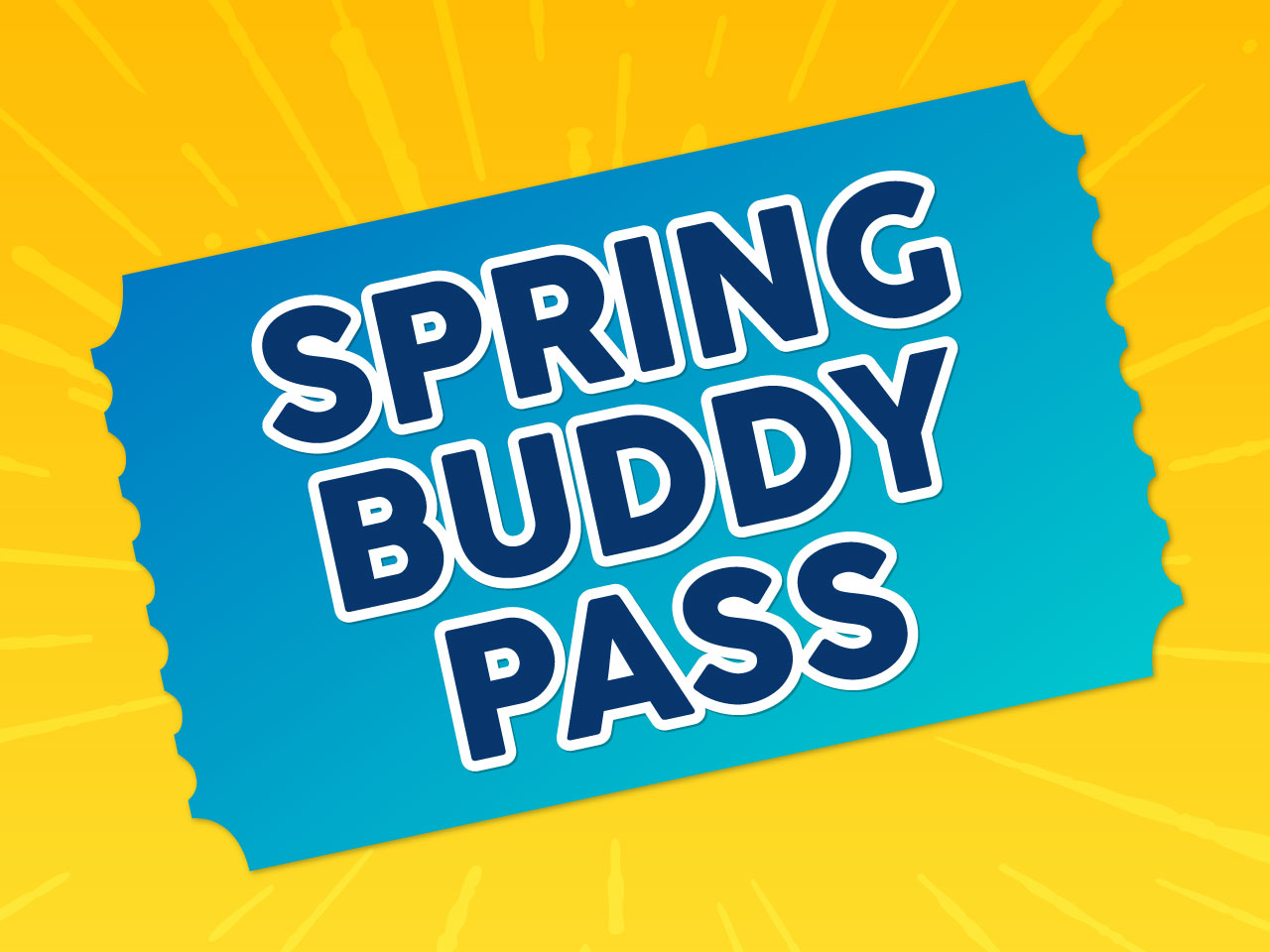 Special Offers Archive – OWA